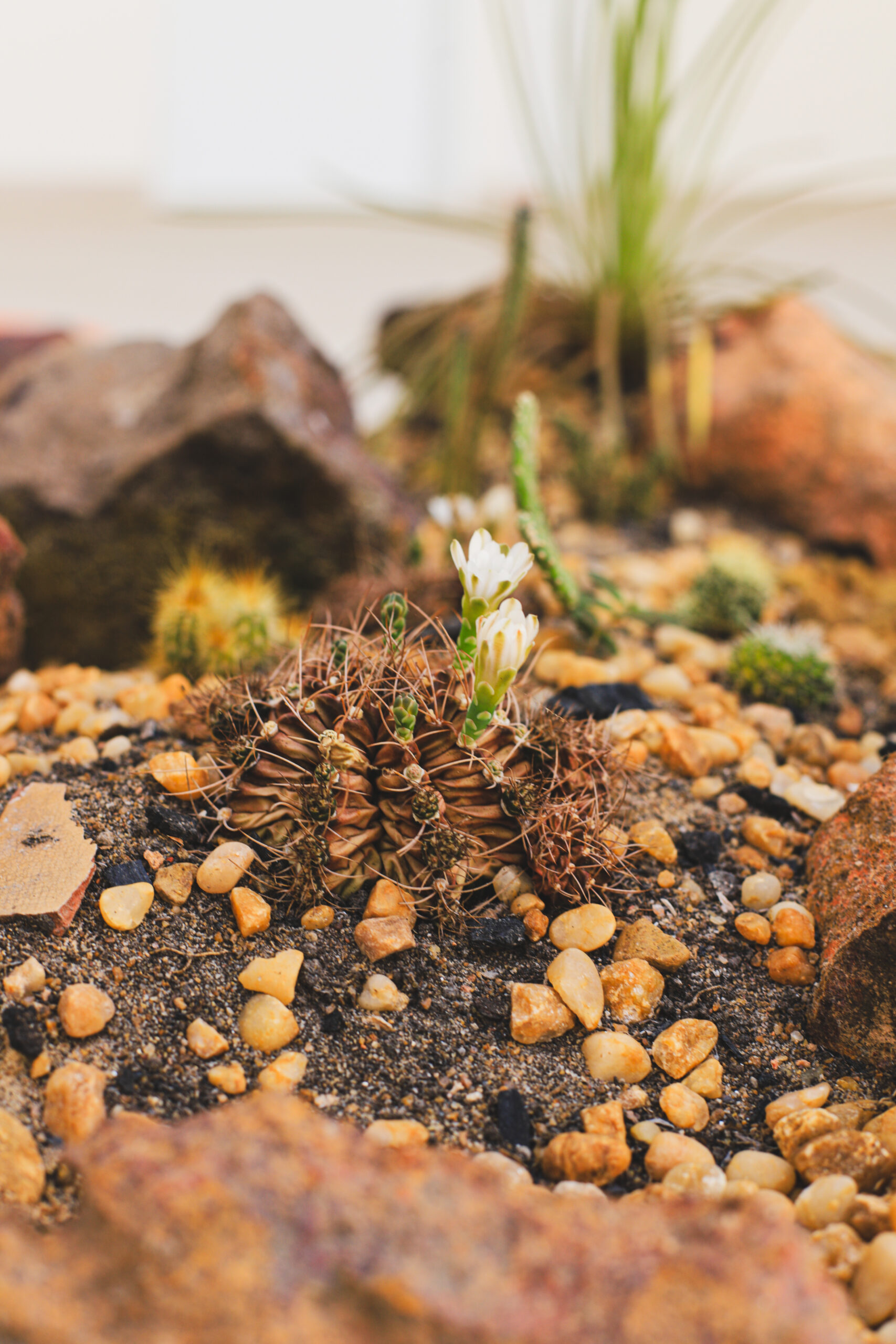 Home - Roka Hotel Boutique